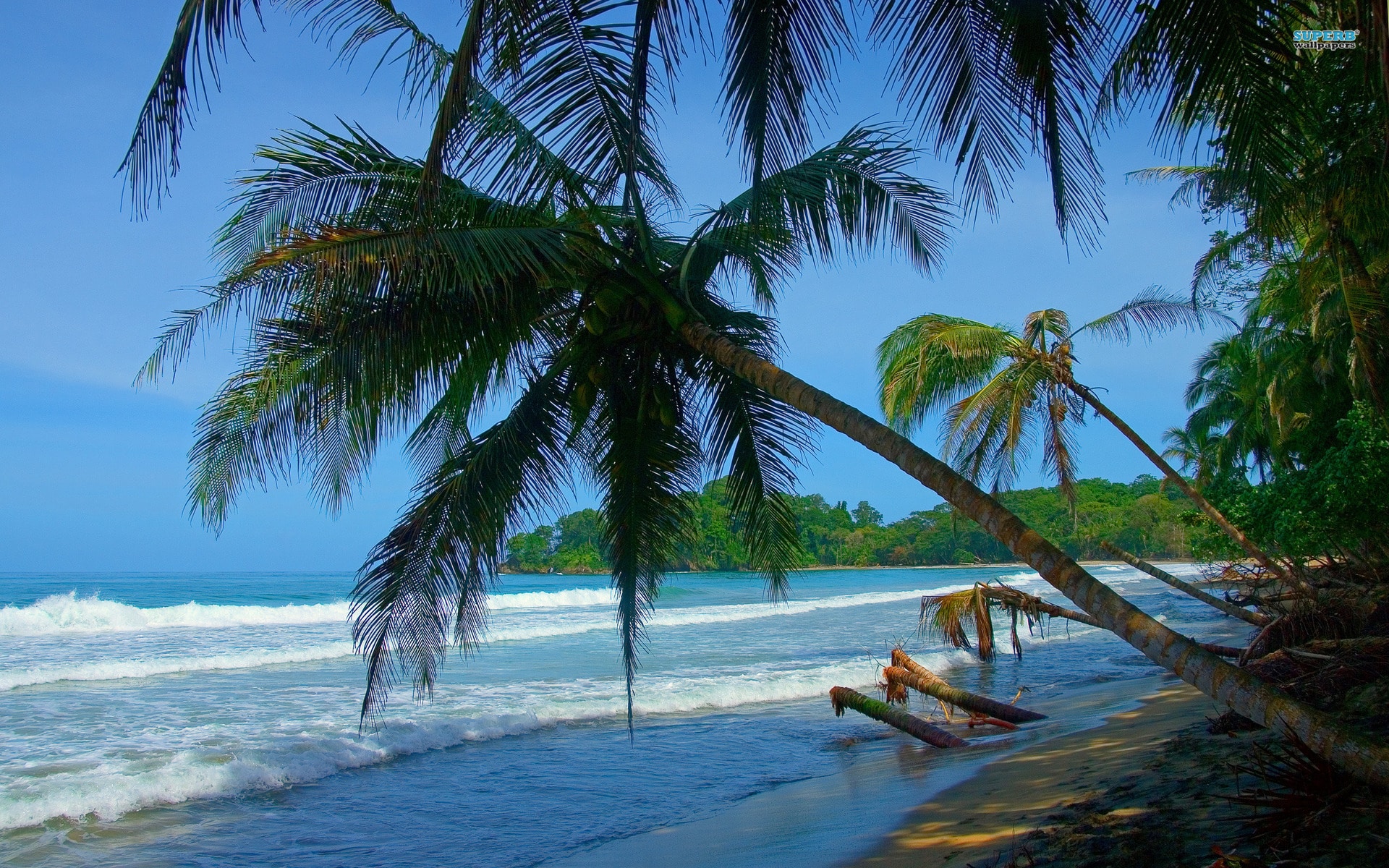 Enjoy the Highlights of Costa Rica’s Caribbean Coast