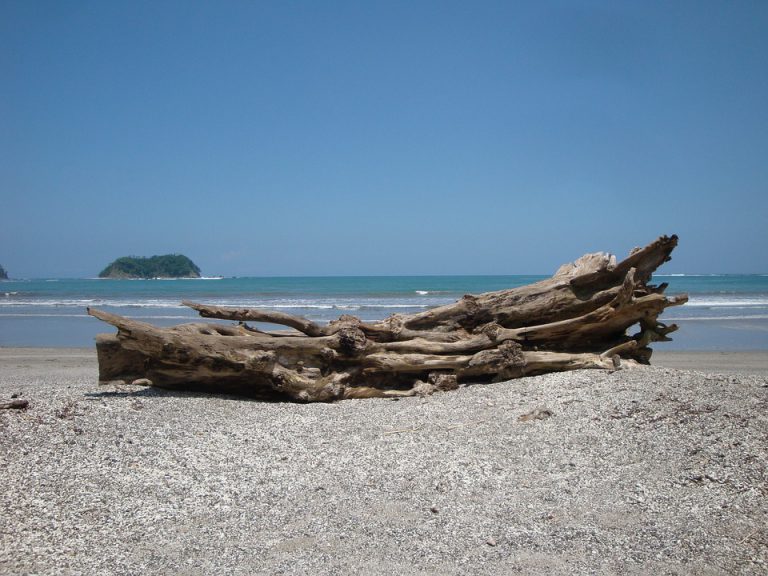 A Beginner’s Guide to Puntarenas: Costa Rica Adventure Vacation