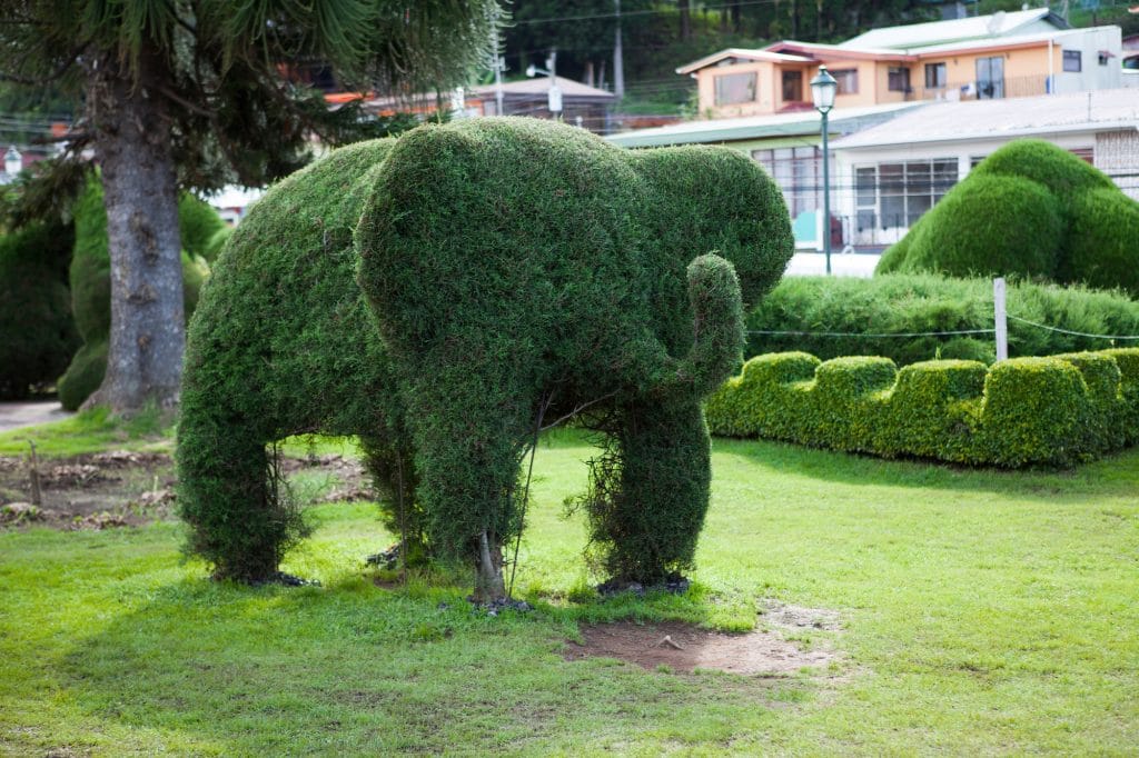 Discover the Surreal Gardens of Zarce